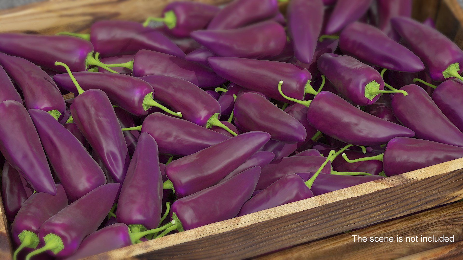 Purple Chili Pepper 3D Model - TurboSquid 1978884