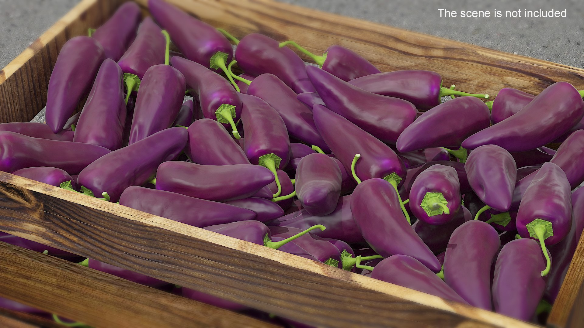 Purple Chili Pepper 3D Model - TurboSquid 1978884