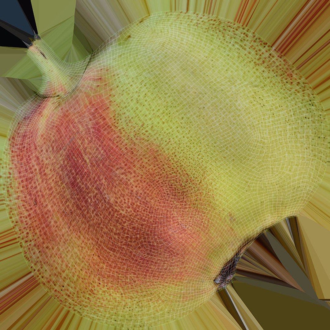 Forelle Pear Collection 3D - TurboSquid 2177004