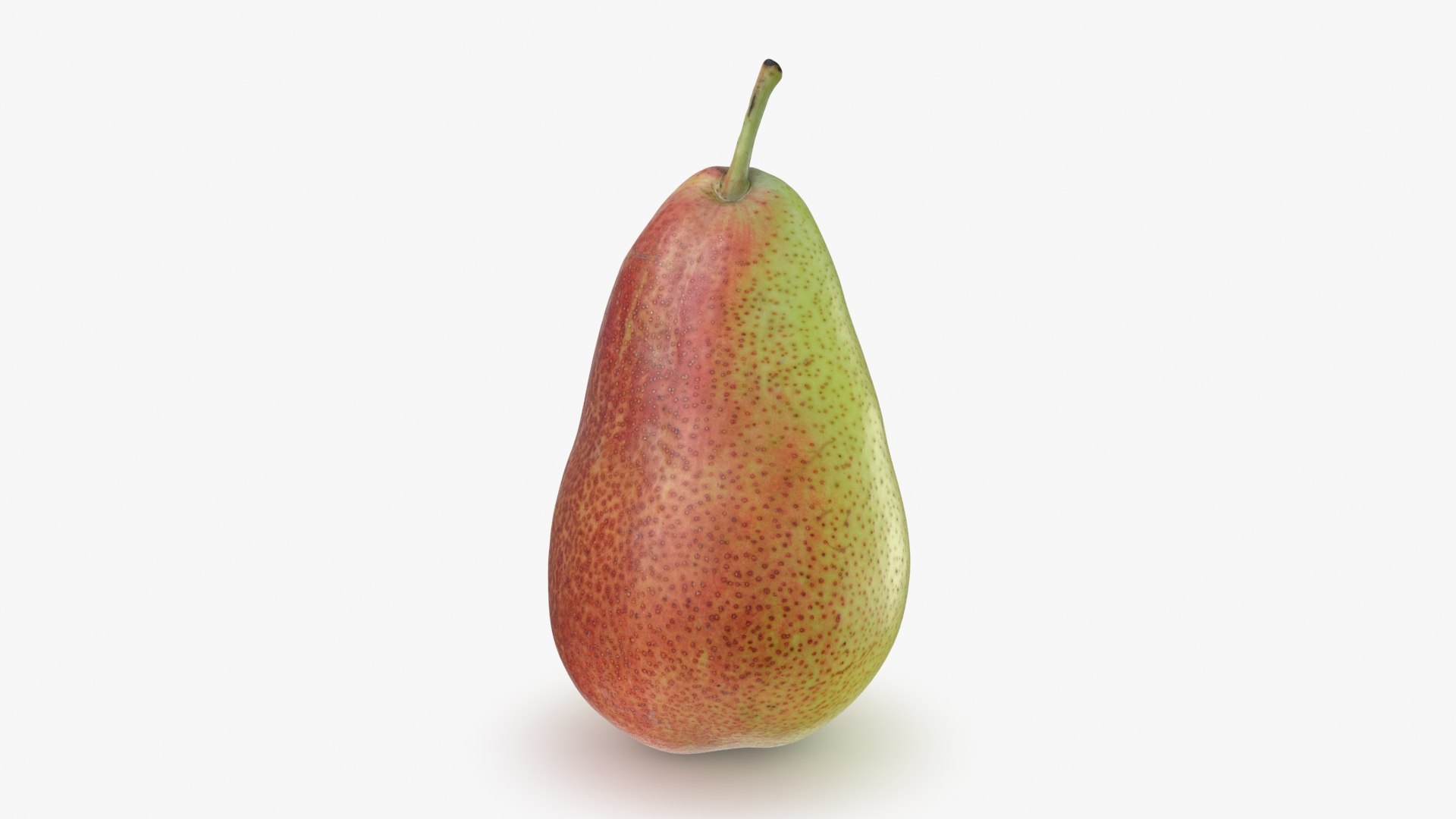 Forelle Pear Collection 3D - TurboSquid 2177004