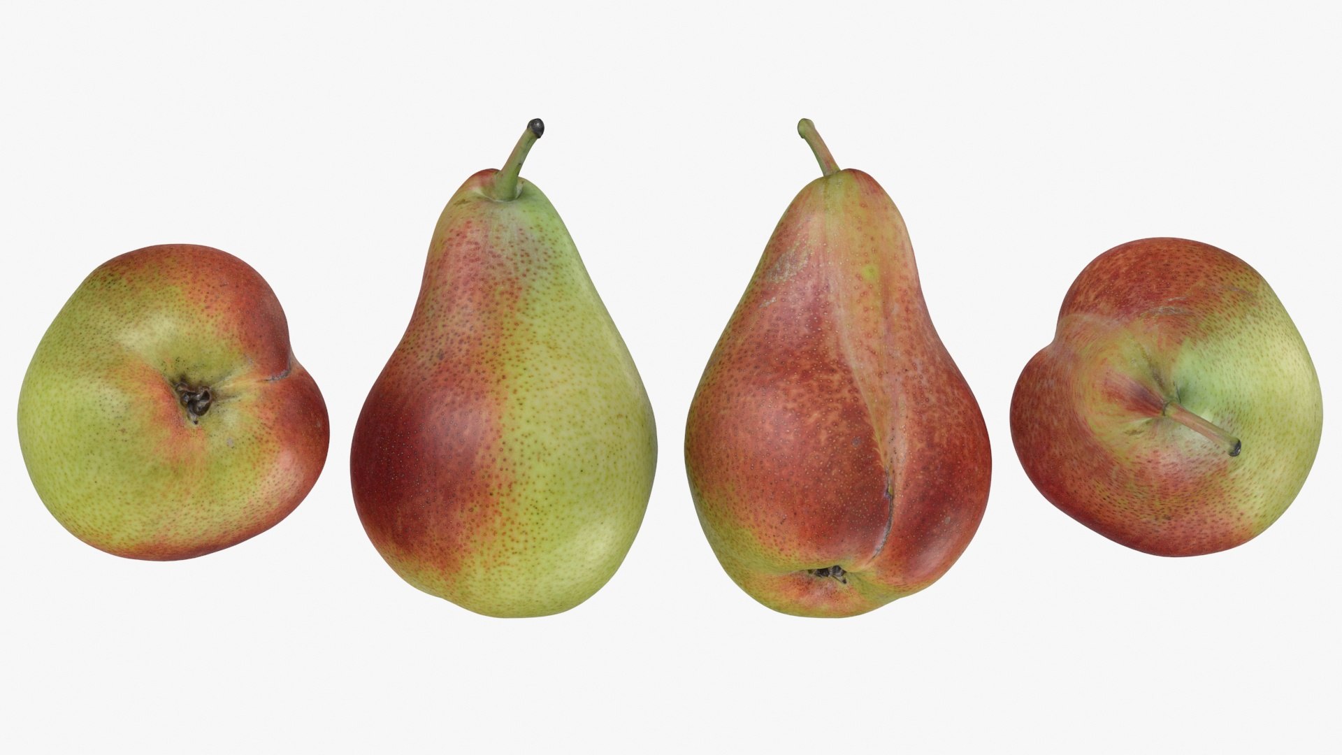 Forelle Pear Collection 3D - TurboSquid 2177004