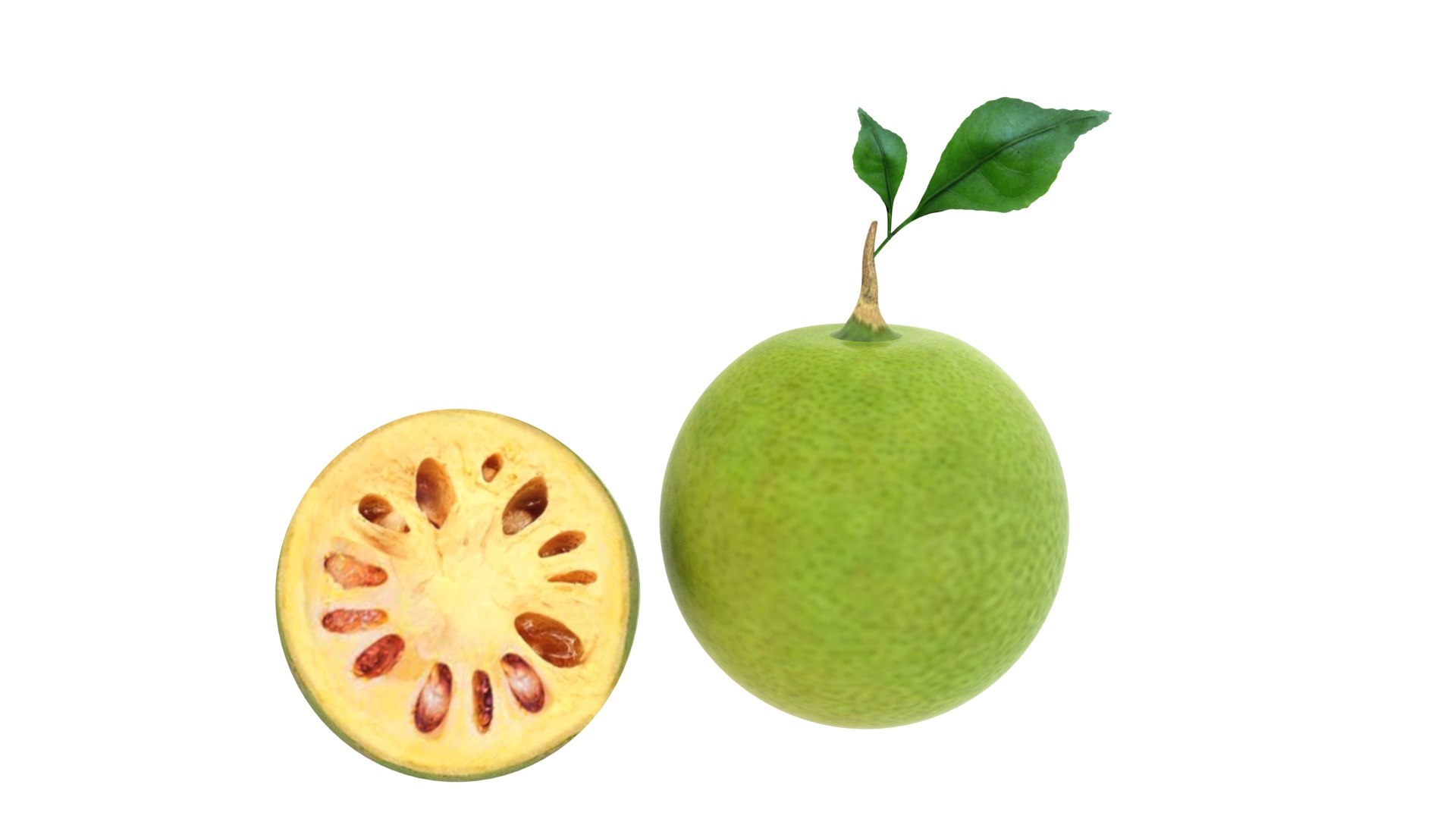 3D Bilva Fruit - TurboSquid 1857510