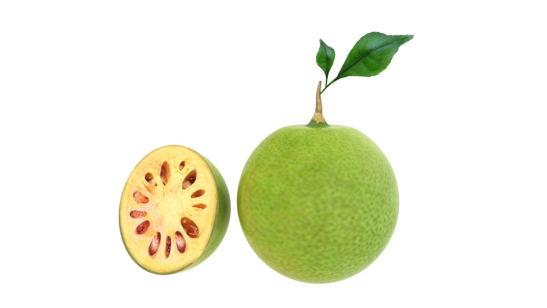3D Bilva Fruit - TurboSquid 1857510
