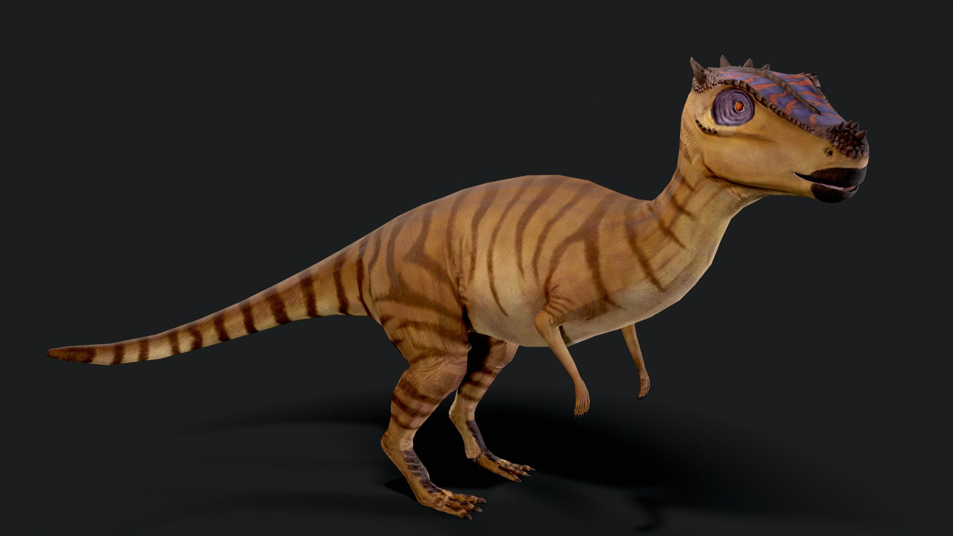 Dracorex Dinosaur Low Poly 3D Model - TurboSquid 2240378