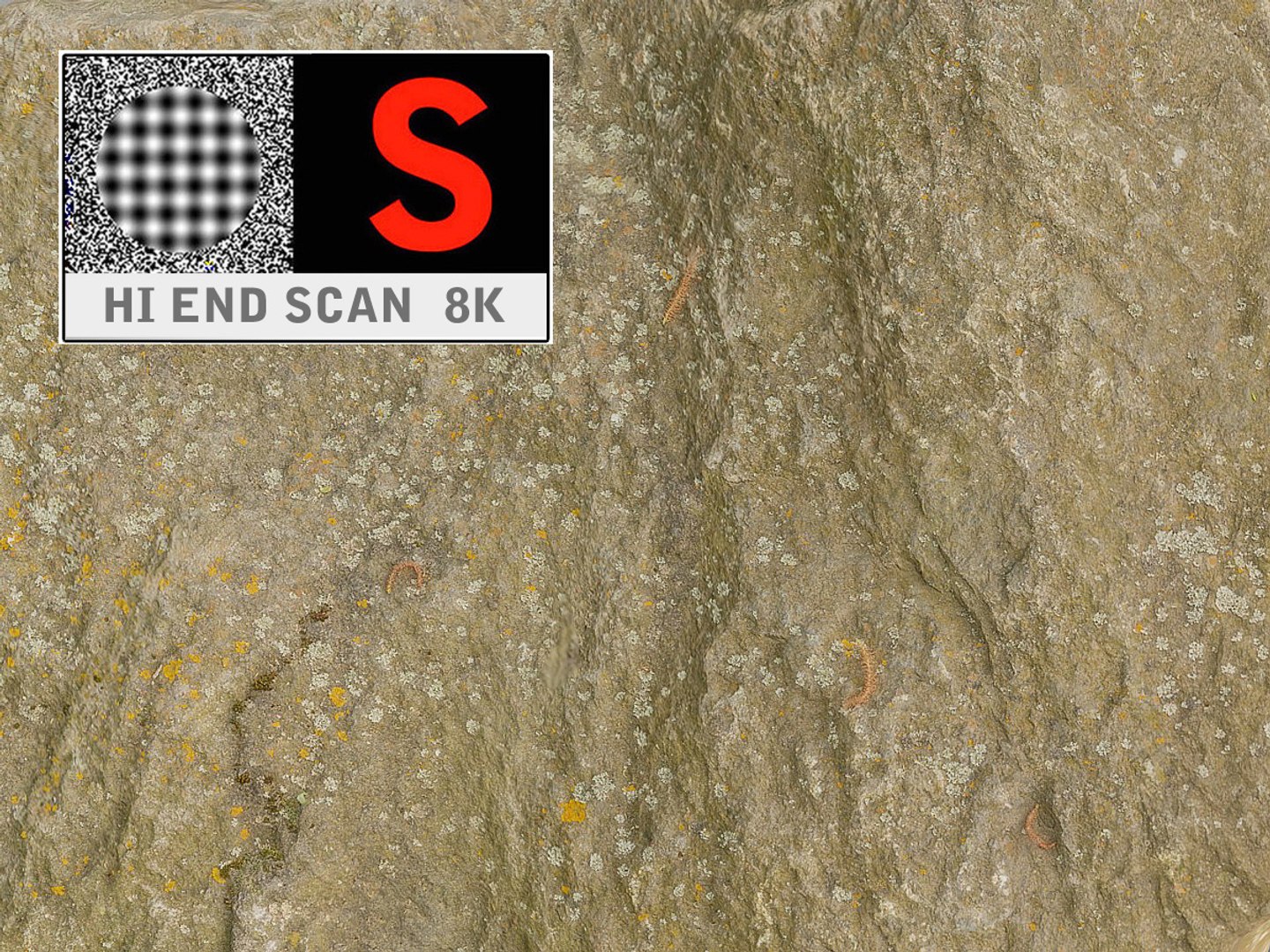 Scanned 8k 3d Max