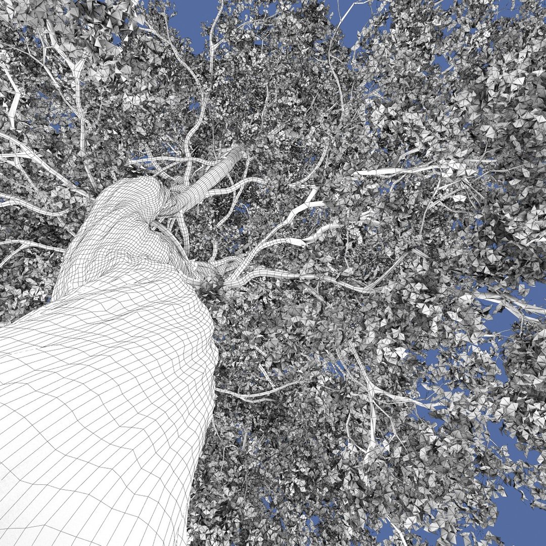 Photorealistic Tree Max