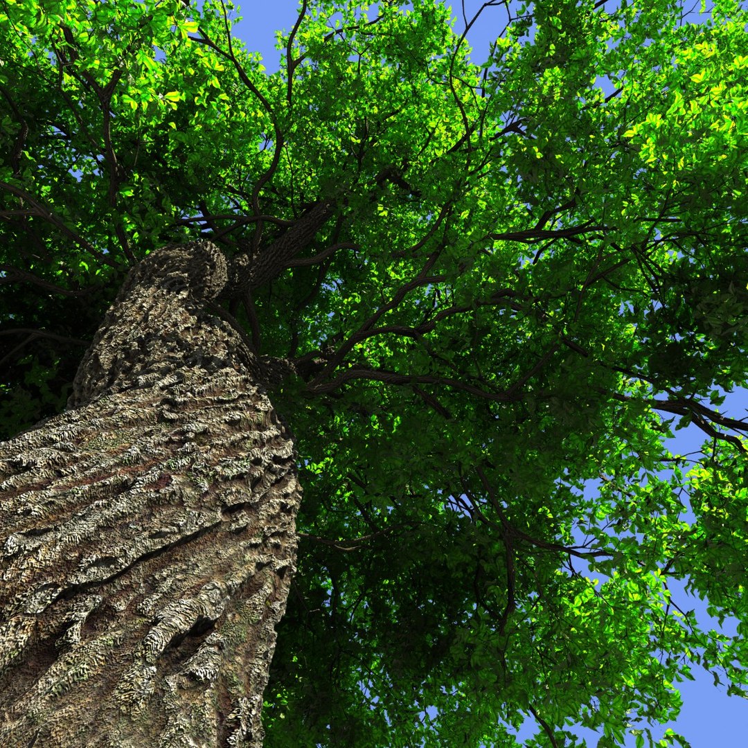 Photorealistic Tree Max