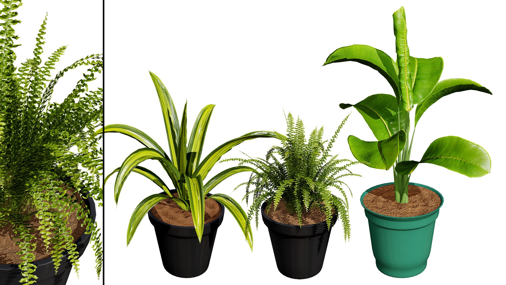 3D Realistic Indoor Plant Collection - TurboSquid 2327539