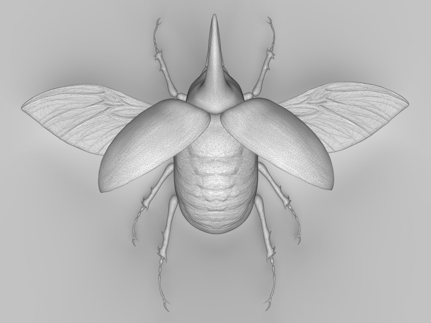 Beetle 3D Model 3D model - TurboSquid 1742882