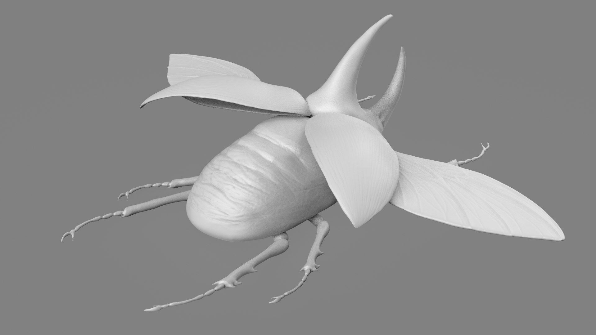 Beetle 3D Model 3D model - TurboSquid 1742882