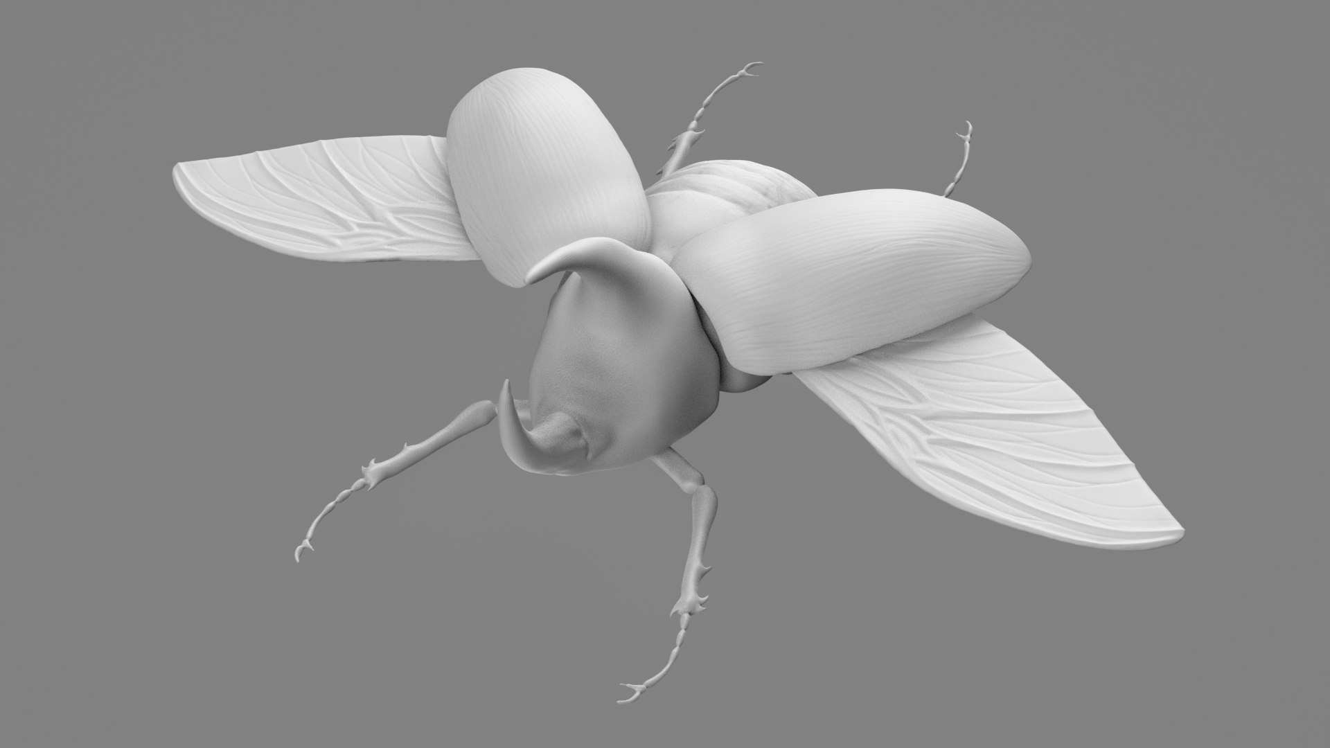 Beetle 3D Model 3D model - TurboSquid 1742882