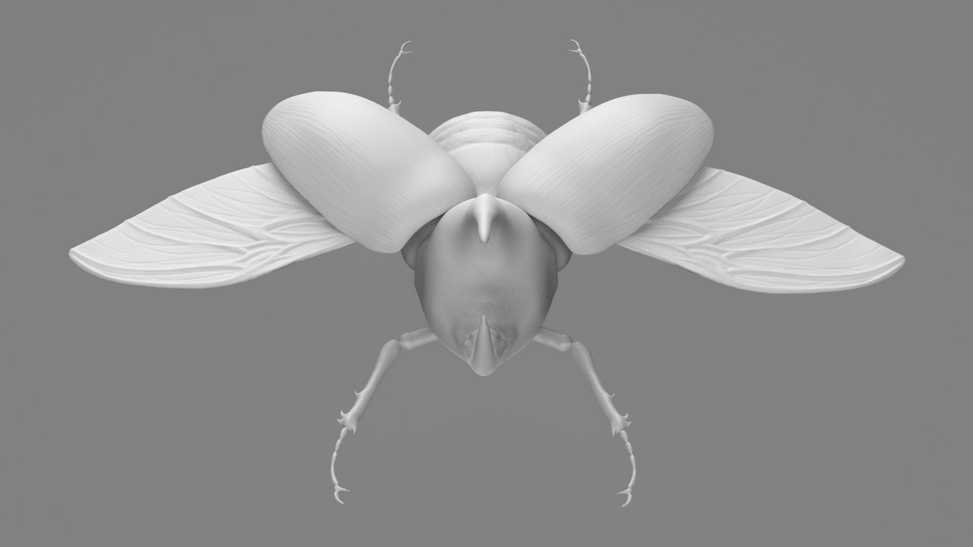 Beetle 3D Model 3D model - TurboSquid 1742882
