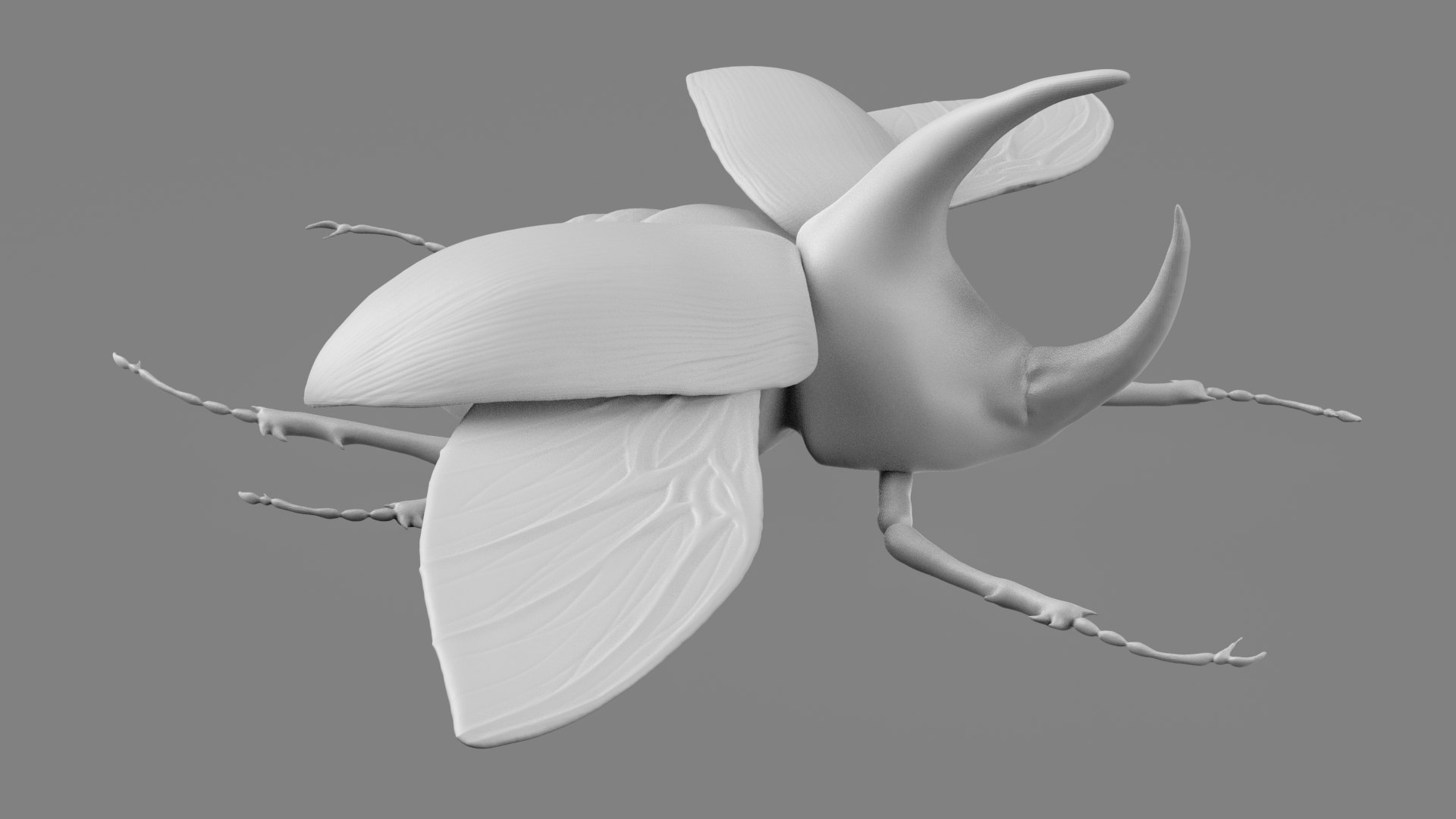 Beetle 3D Model 3D model - TurboSquid 1742882