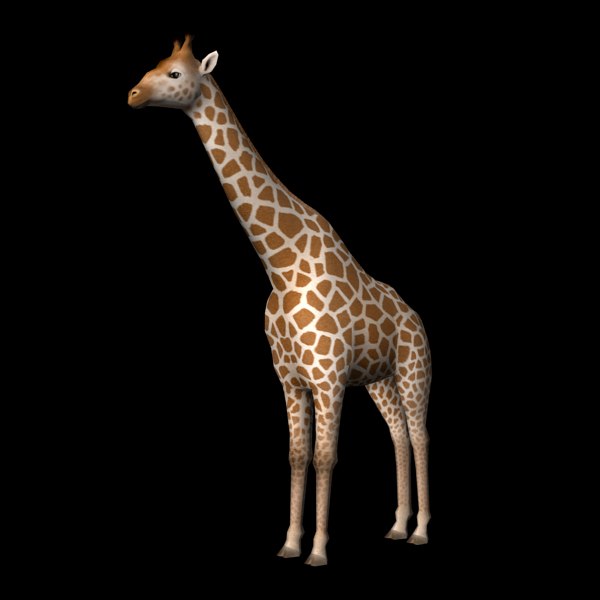 3d giraffe edge loop