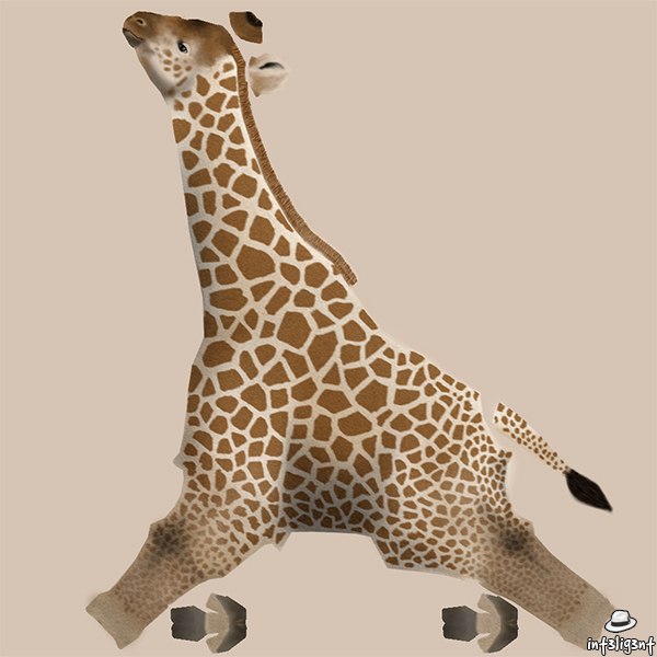 3d giraffe edge loop