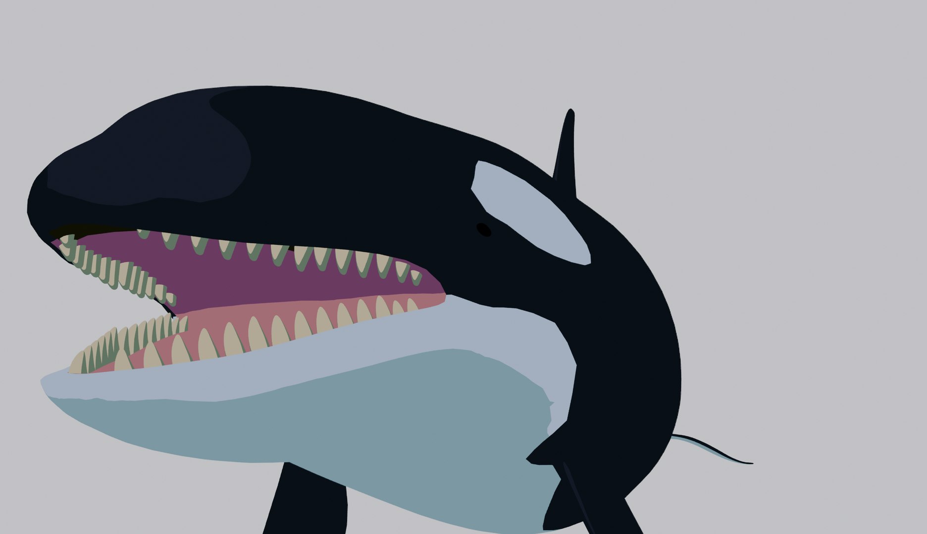 3D Stylized Female Orca - TurboSquid 2400318