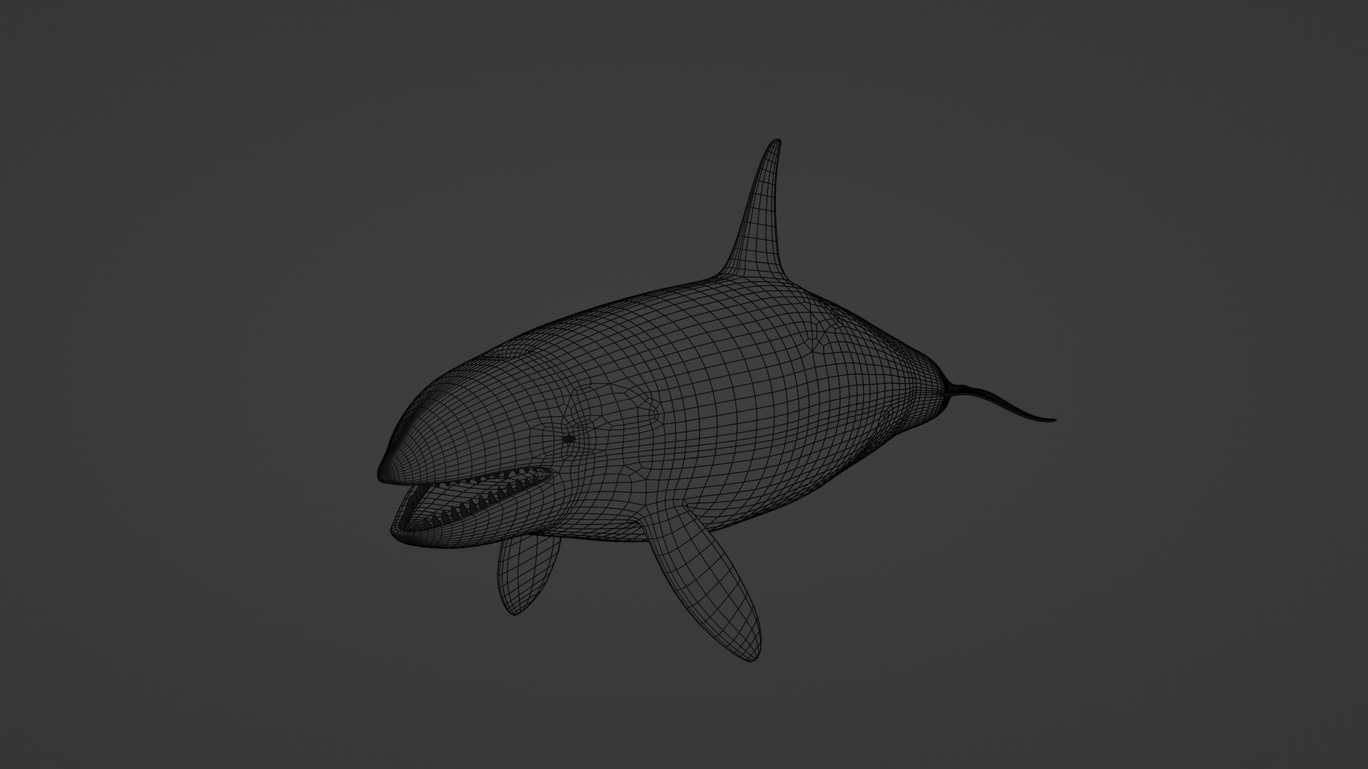 3D Stylized Female Orca - TurboSquid 2400318