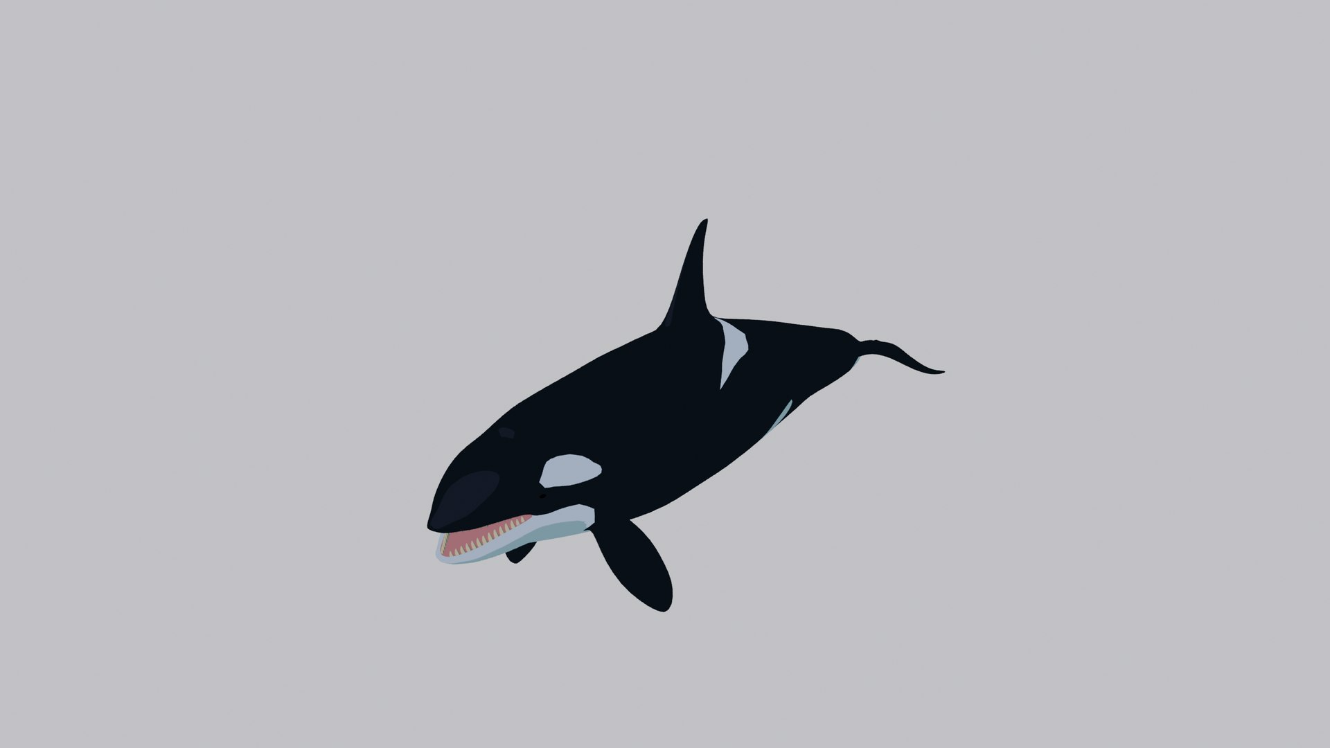 3D Stylized Female Orca - TurboSquid 2400318