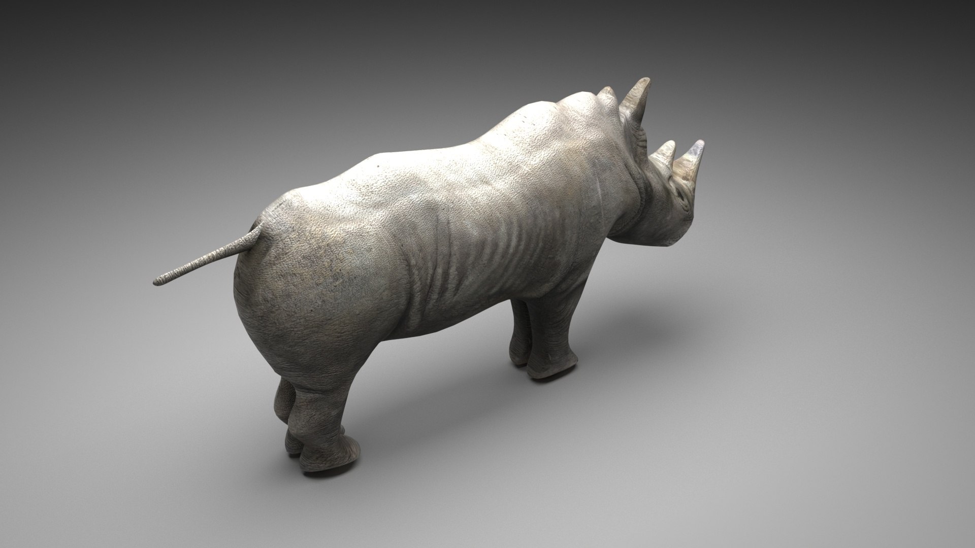 3D Rhinoceros model - TurboSquid 1840711