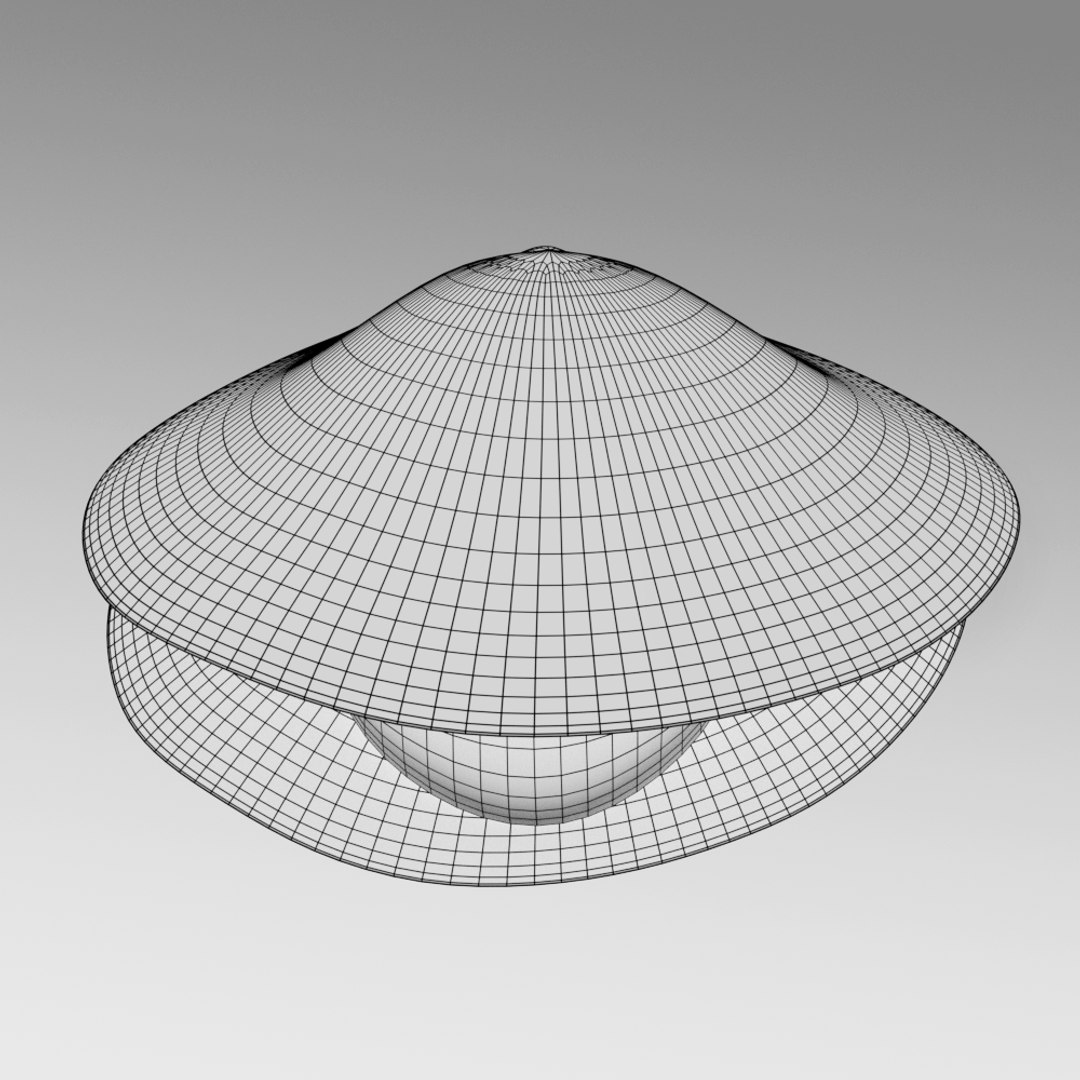 Free 3D Clam Model - TurboSquid 1473685