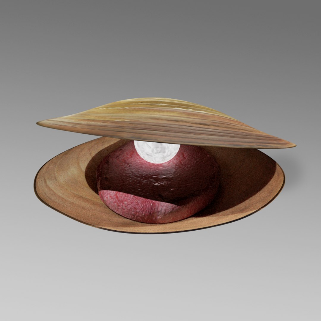 Free 3D Clam Model - TurboSquid 1473685