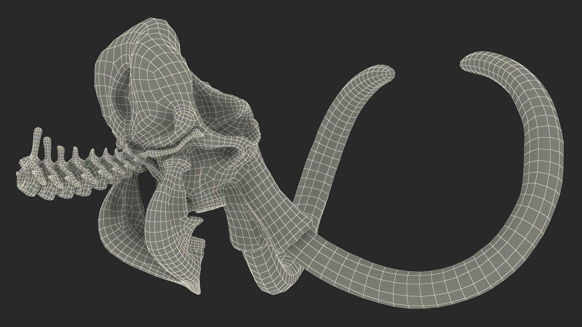 3D Model Skulls Collection 4 - TurboSquid 2211805