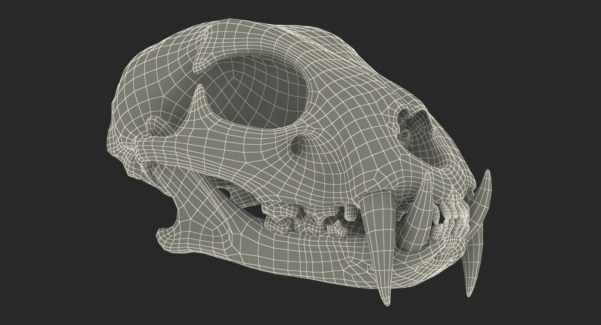 3D Model Skulls Collection 4 - TurboSquid 2211805