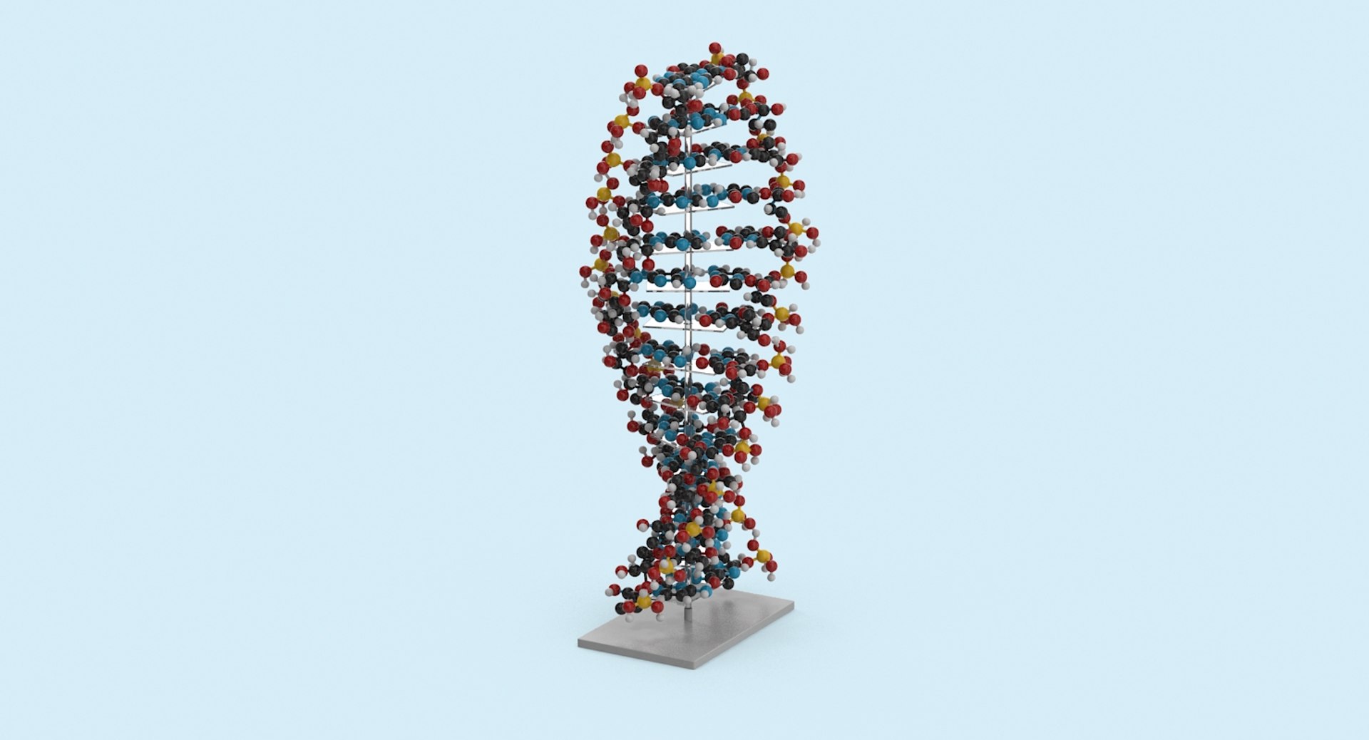 dna display 3d model