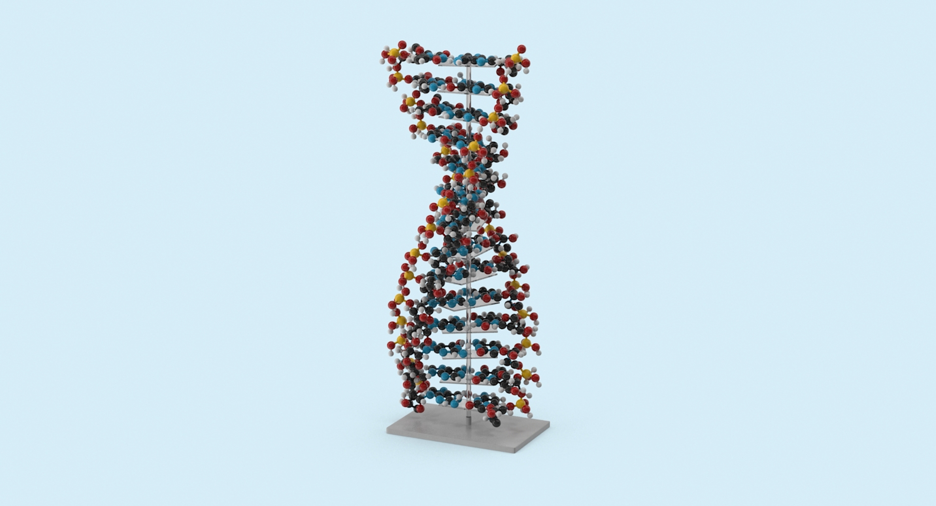 dna display 3d model