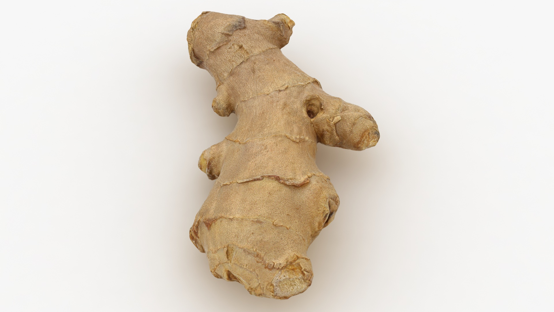 Turmeric Ginger Garlic and Cinnamon 3D model - TurboSquid 2154291