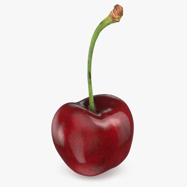 Free 3D Cherry Models | TurboSquid