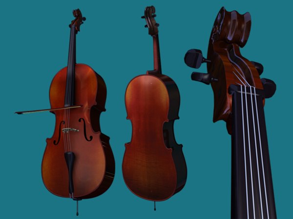3d model of chello