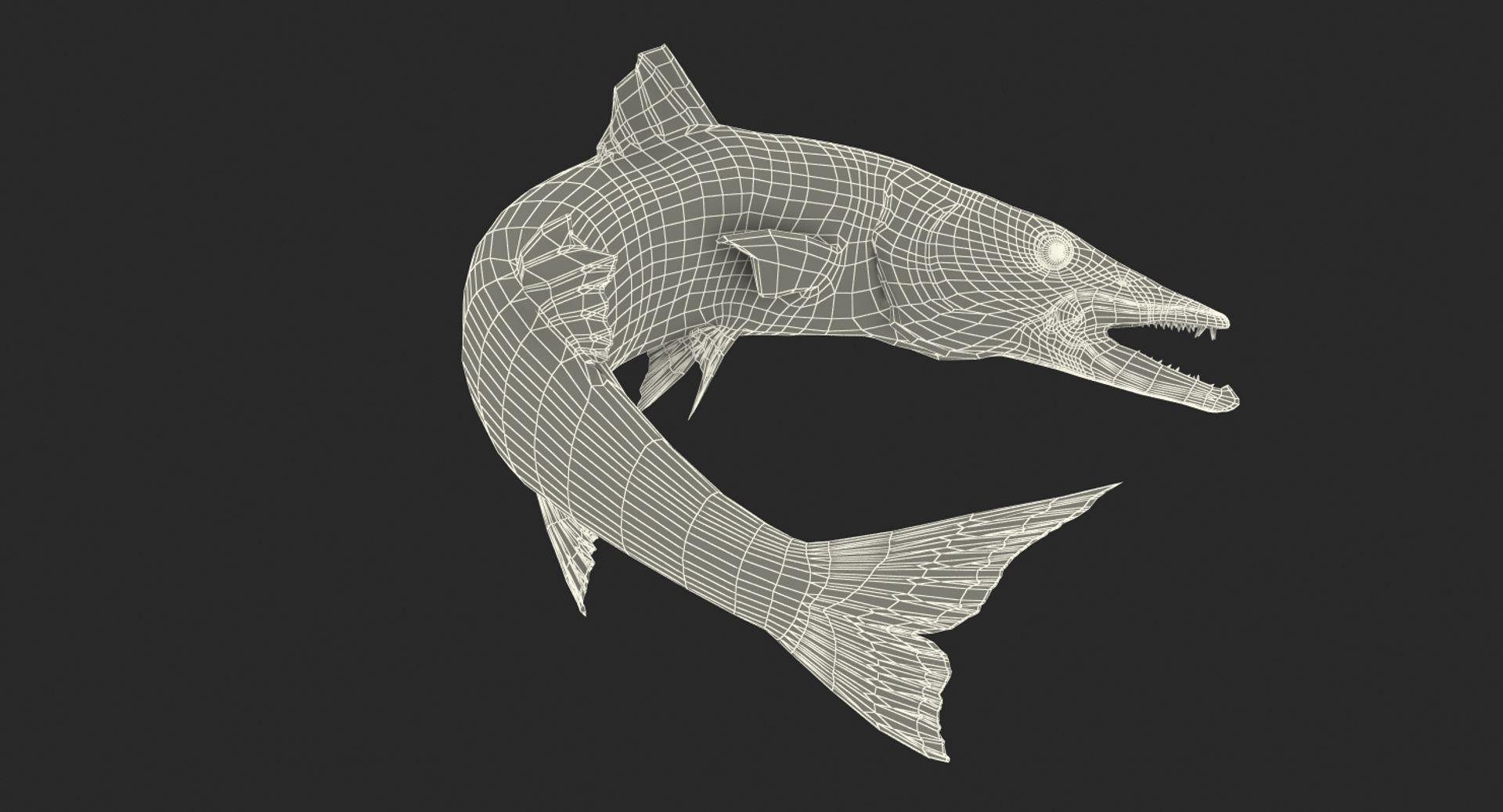 Barracuda Fish Pose 3 3d Model