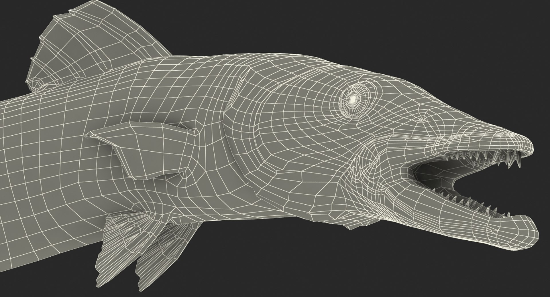 Barracuda Fish Pose 3 3d Model