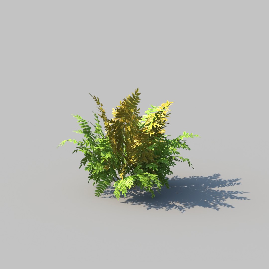 Autumn Ferns Animation 3D Model - TurboSquid 1349412