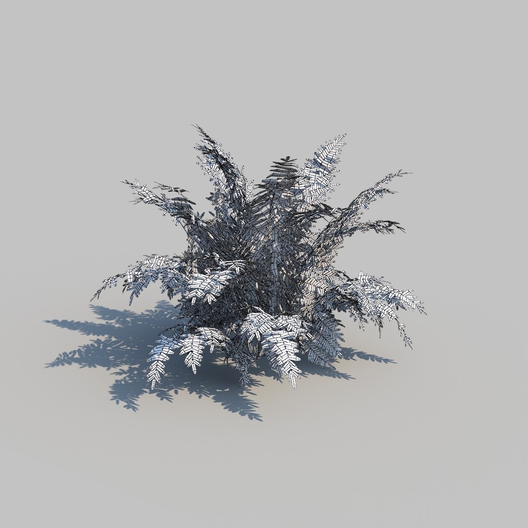 Autumn Ferns Animation 3D Model - TurboSquid 1349412