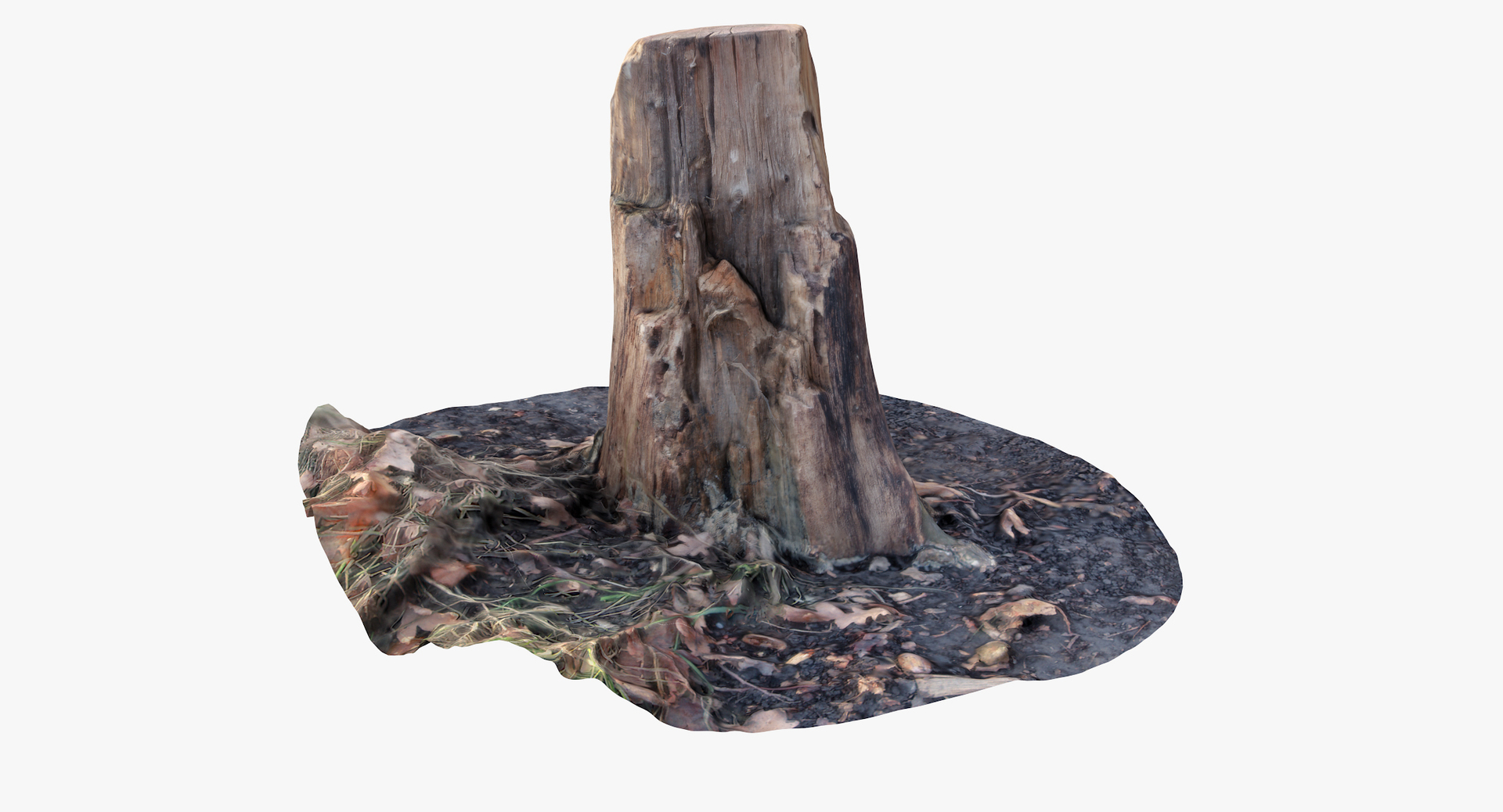 Oak stump 2 3D model - TurboSquid 1247676
