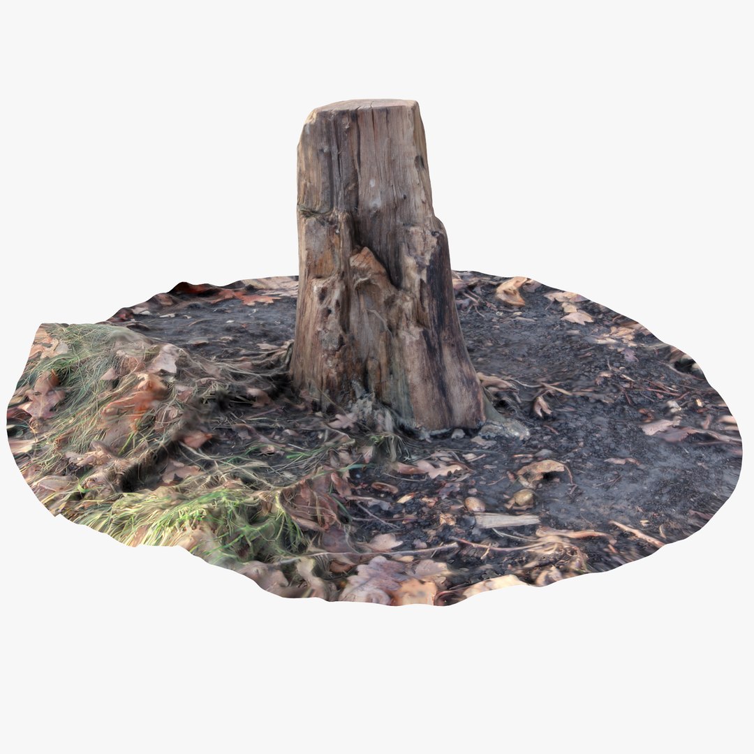 Oak stump 2 3D model - TurboSquid 1247676