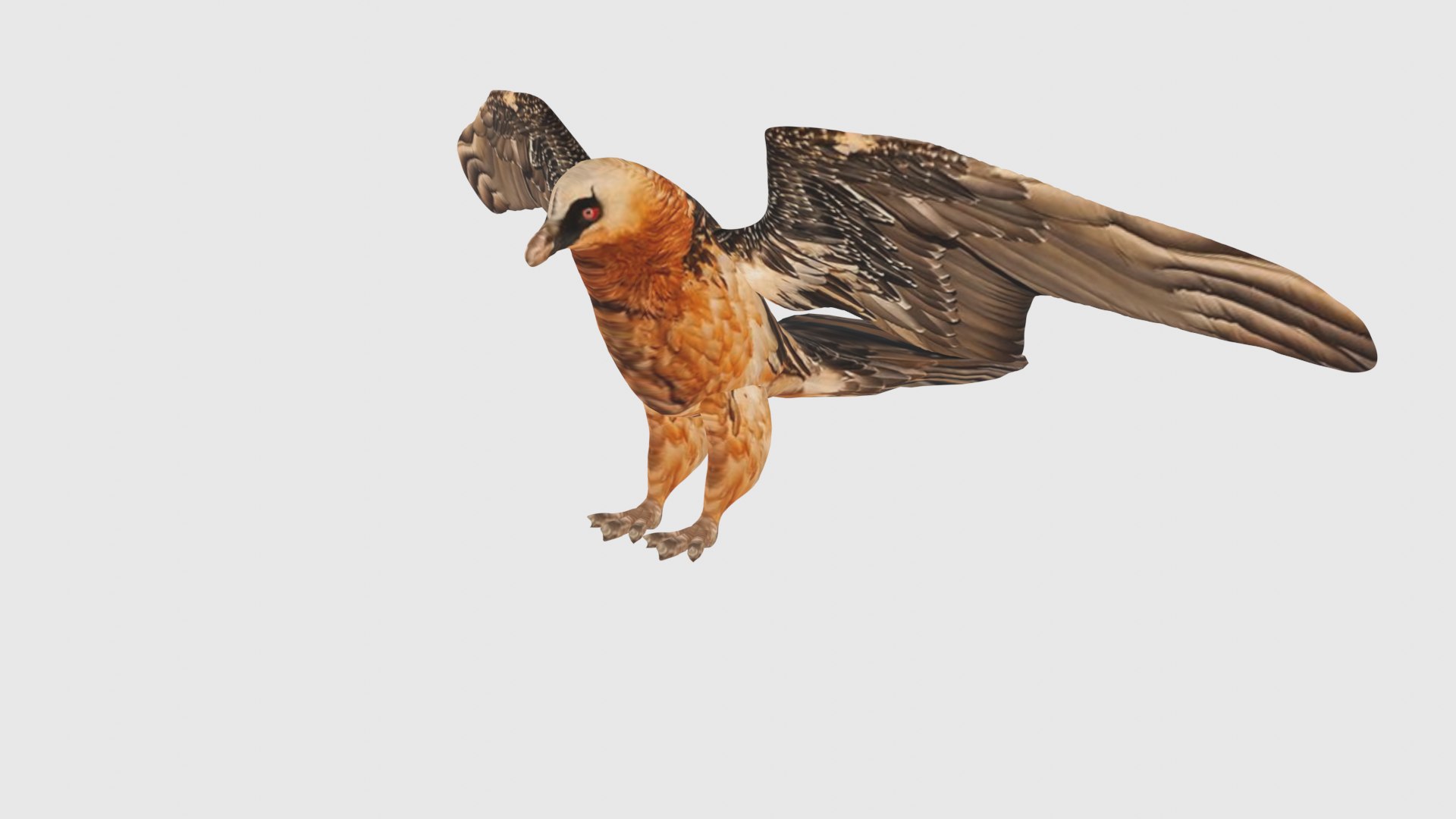 3D Low Poly Vulture Rigged With Realistic Texture - TurboSquid 1876014