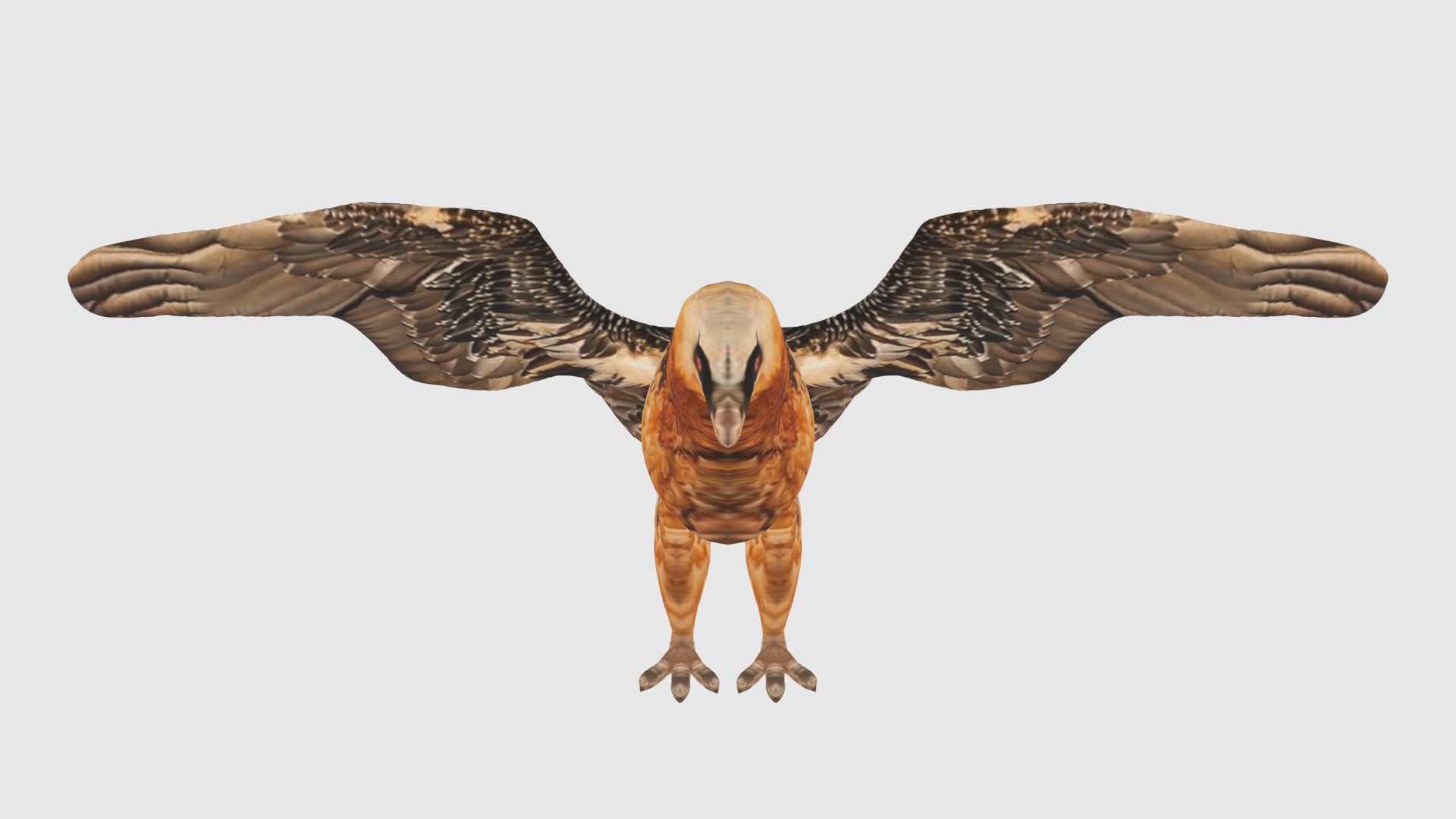 3D Low Poly Vulture Rigged With Realistic Texture - TurboSquid 1876014