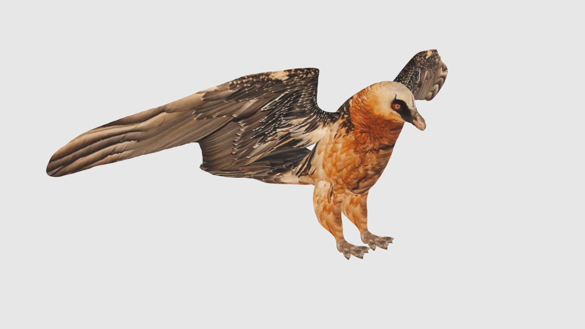 3D Low Poly Vulture Rigged With Realistic Texture - TurboSquid 1876014
