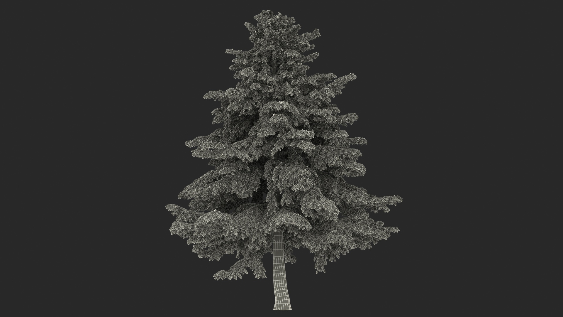 3D Cedrus Libani Blue Tree Model - TurboSquid 1787331
