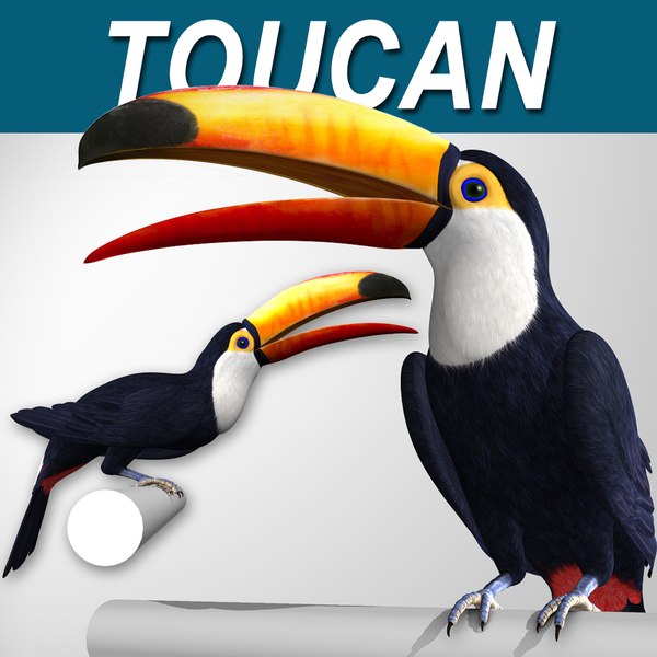 Toucan 3D Models for Download | TurboSquid