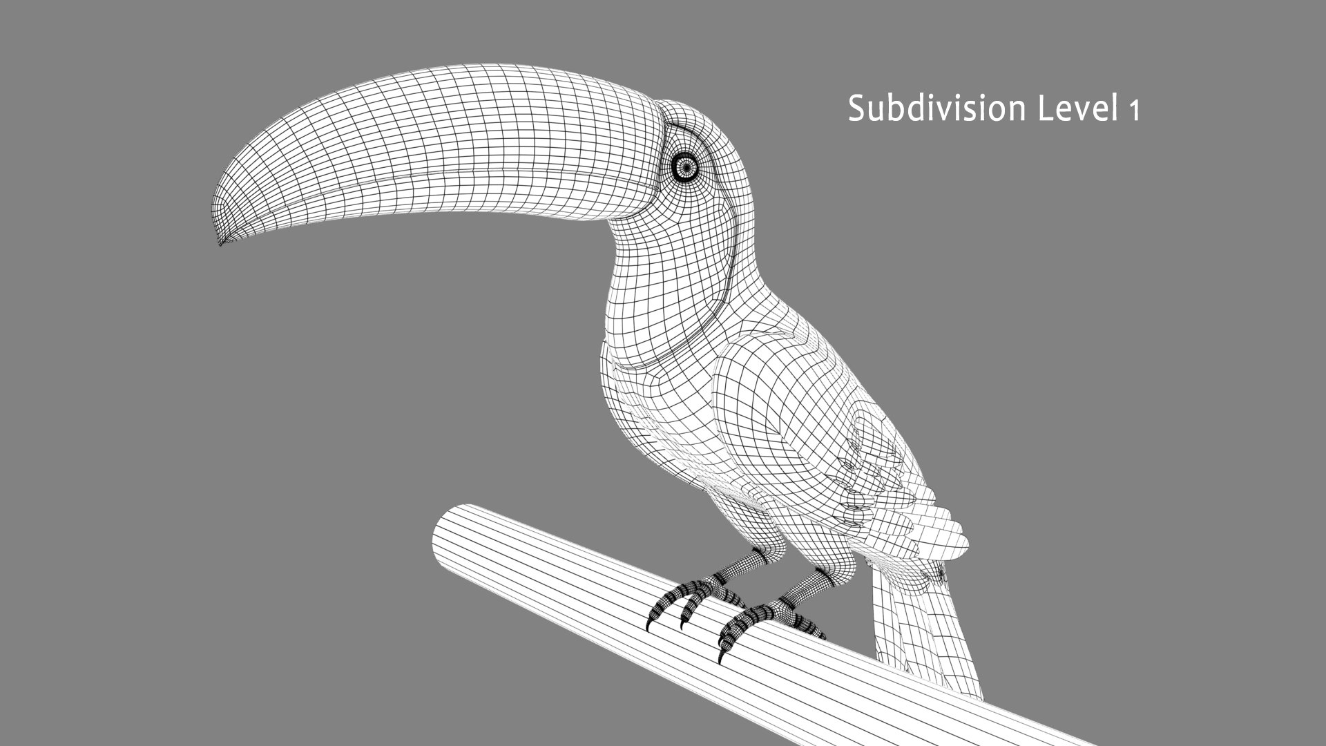 3d Model Of Realistic Toucan Wings Folded