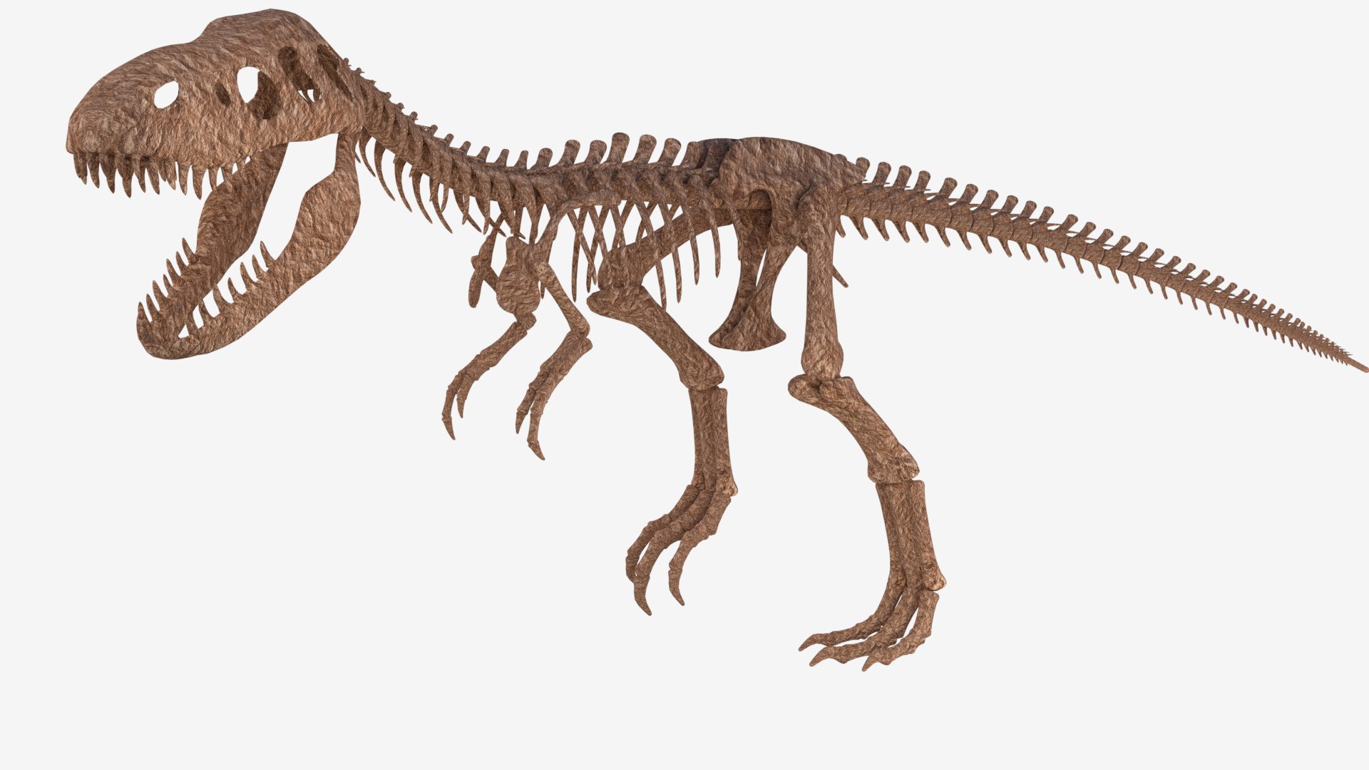 3d Model T-rex Skeleton