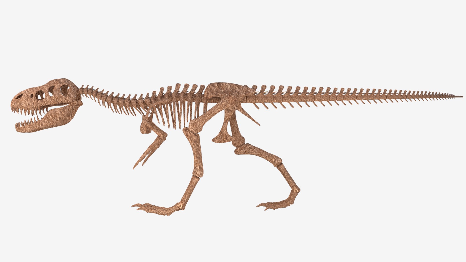 3d Model T-rex Skeleton