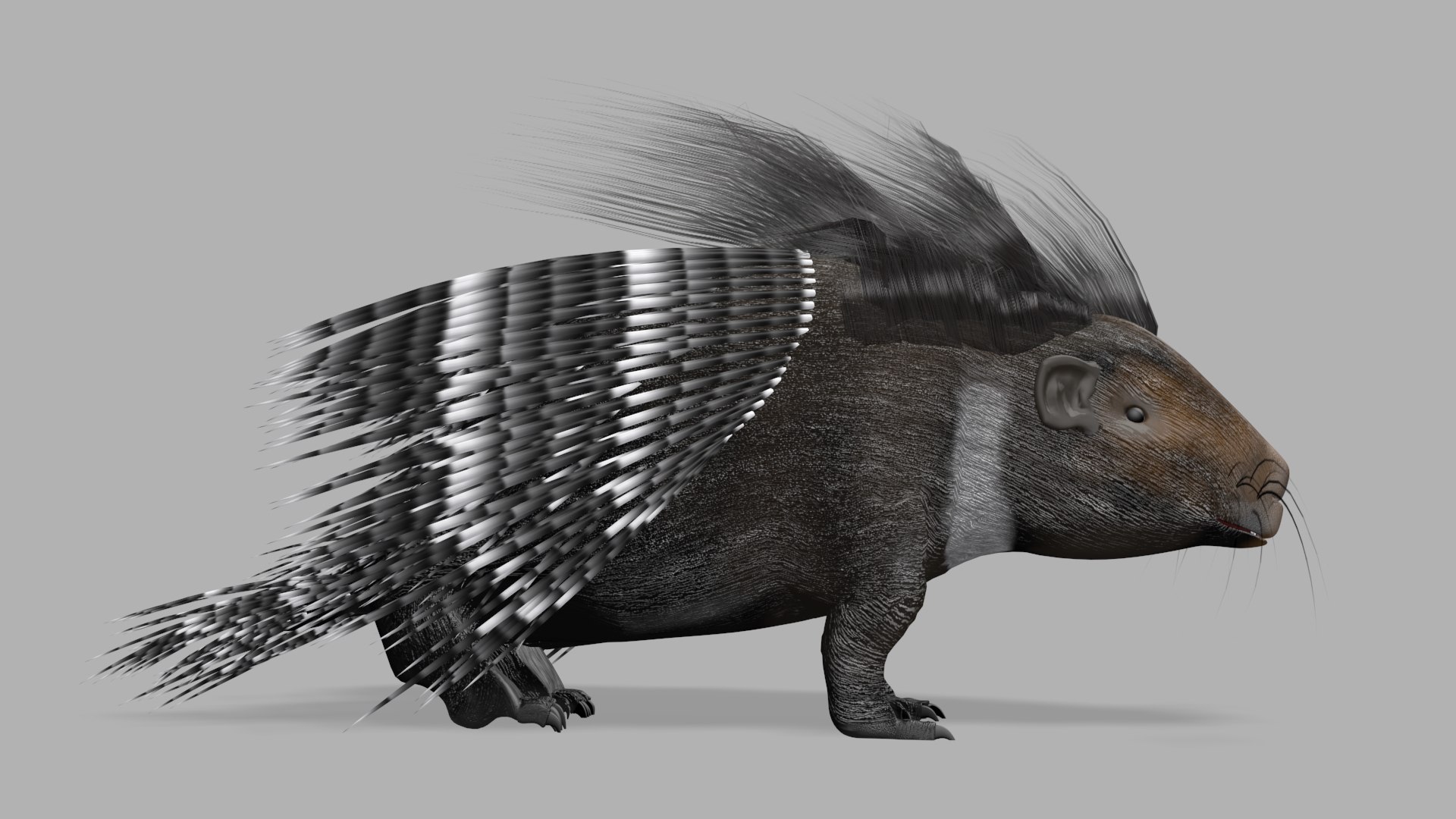 3d Model Porcupine Animated Turbosquid 2097965