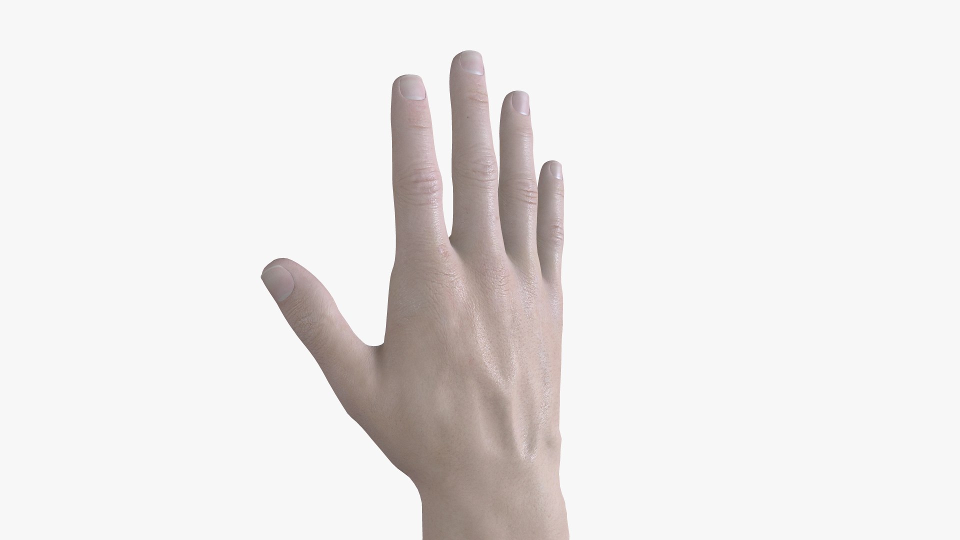 HND-012 Rigged Right Hand 3D - TurboSquid 1982632