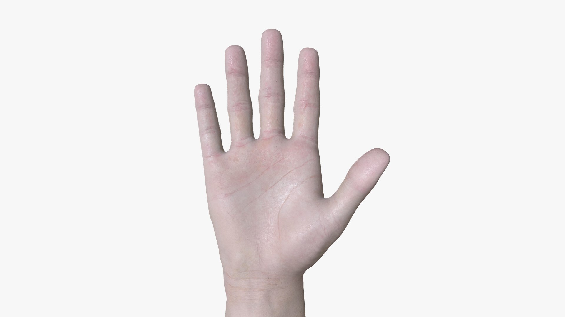 HND-012 Rigged Right Hand 3D - TurboSquid 1982632