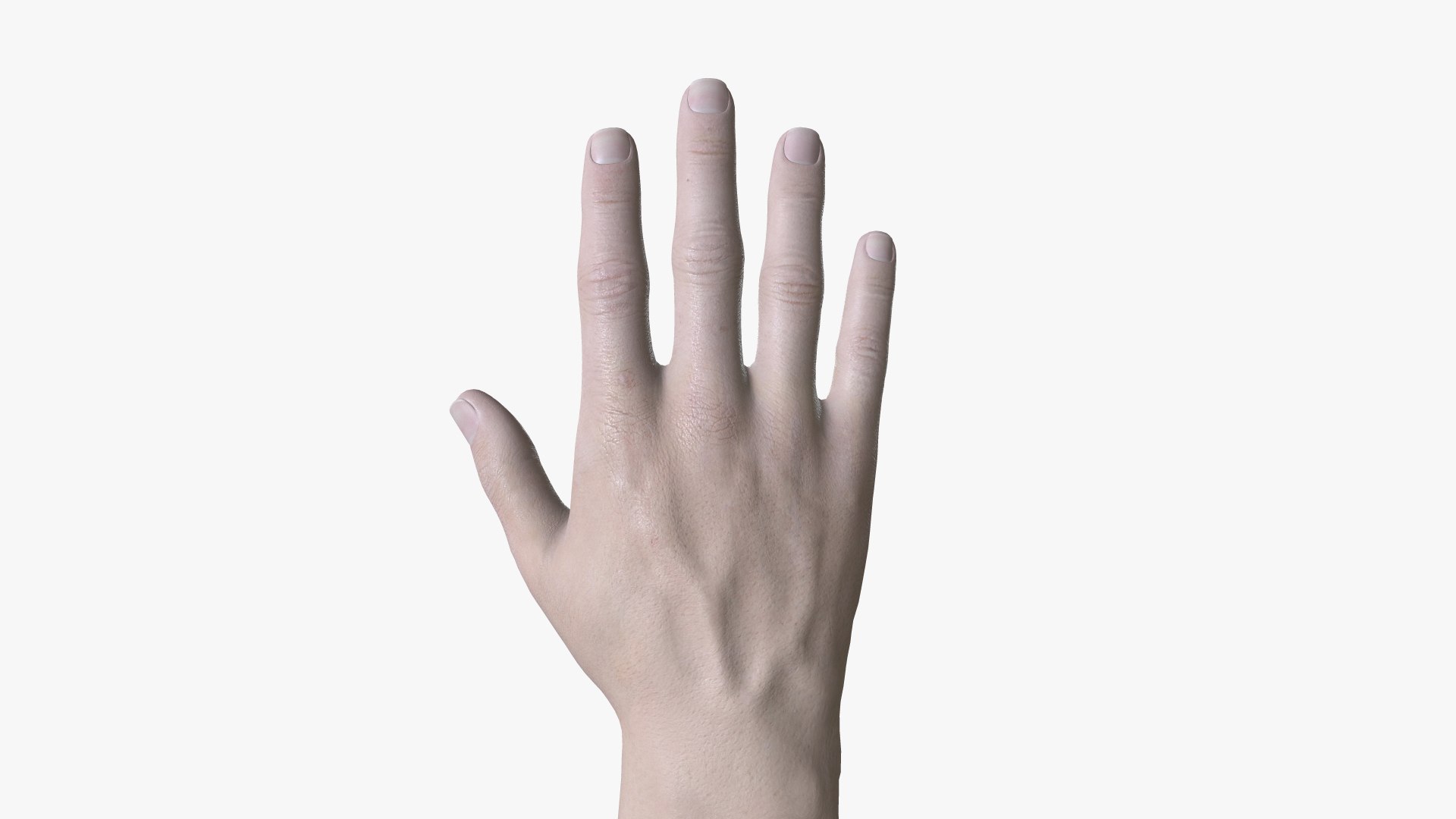 HND-012 Rigged Right Hand 3D - TurboSquid 1982632